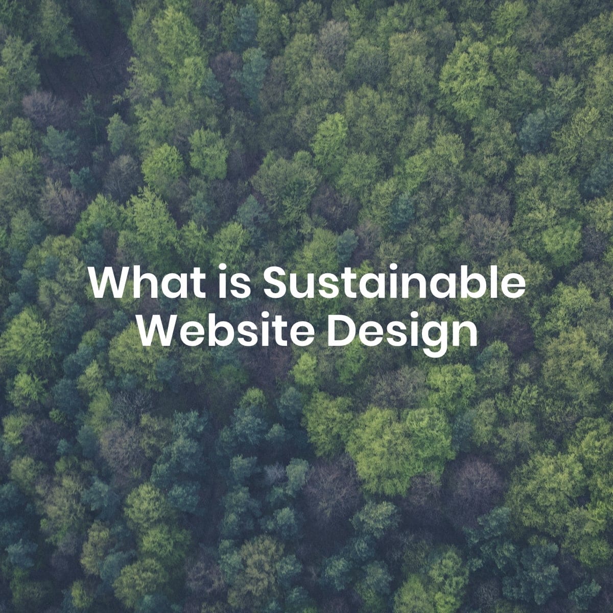 What is Sustainable Website Design? | Hum&Whistle